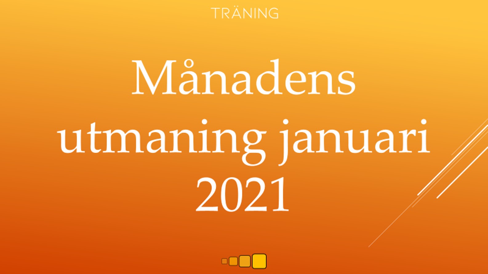 Månadens utmaning januari 2021 - STYRKETRAPPAN I GÖTEBORG
